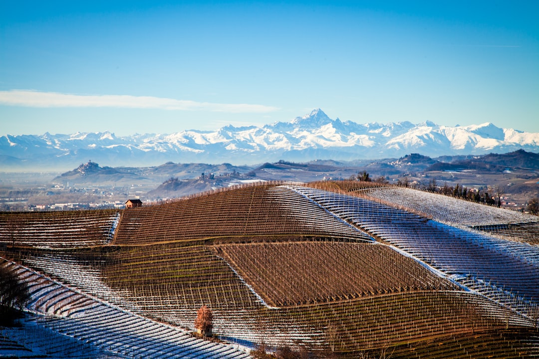 When Is Barolo Ready to Drink? Aging Guide
